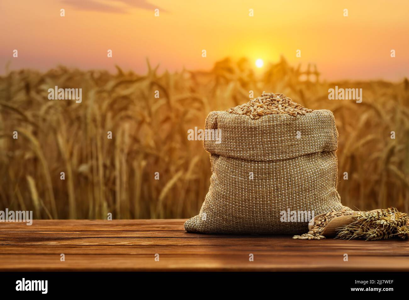 Sack of wheat hi-res stock photography and images - Alamy