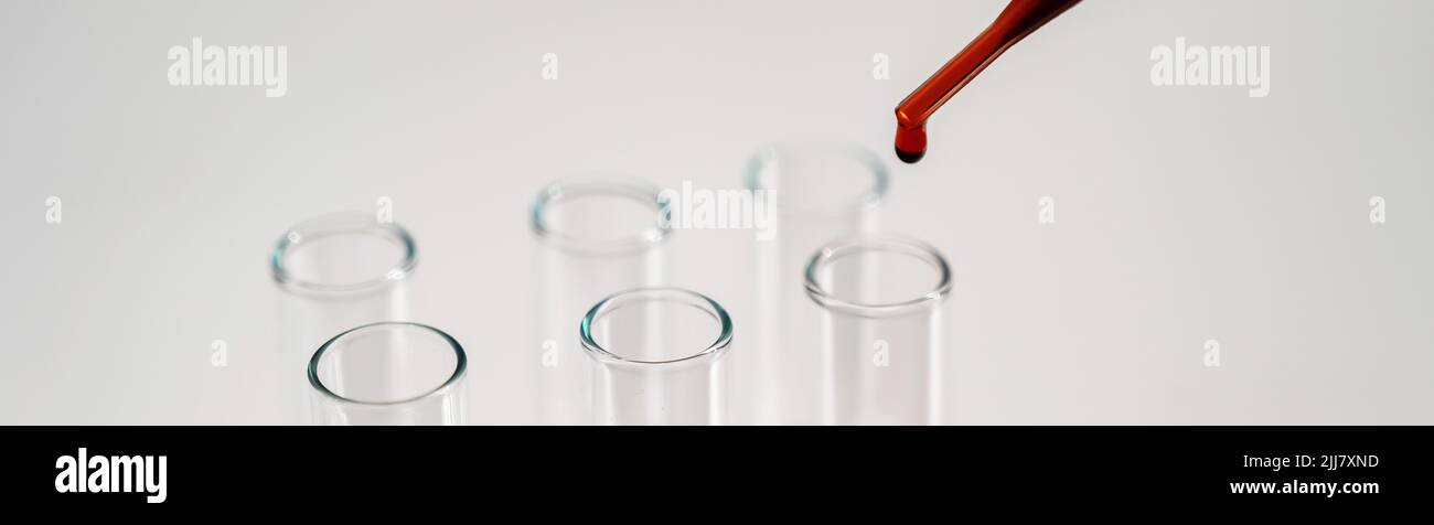 Close-up of a laboratory assistant dripping blood from a pipette into a ...