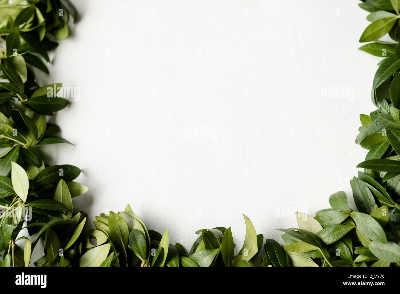 Circle of leaves green hi-res stock photography and images - Alamy