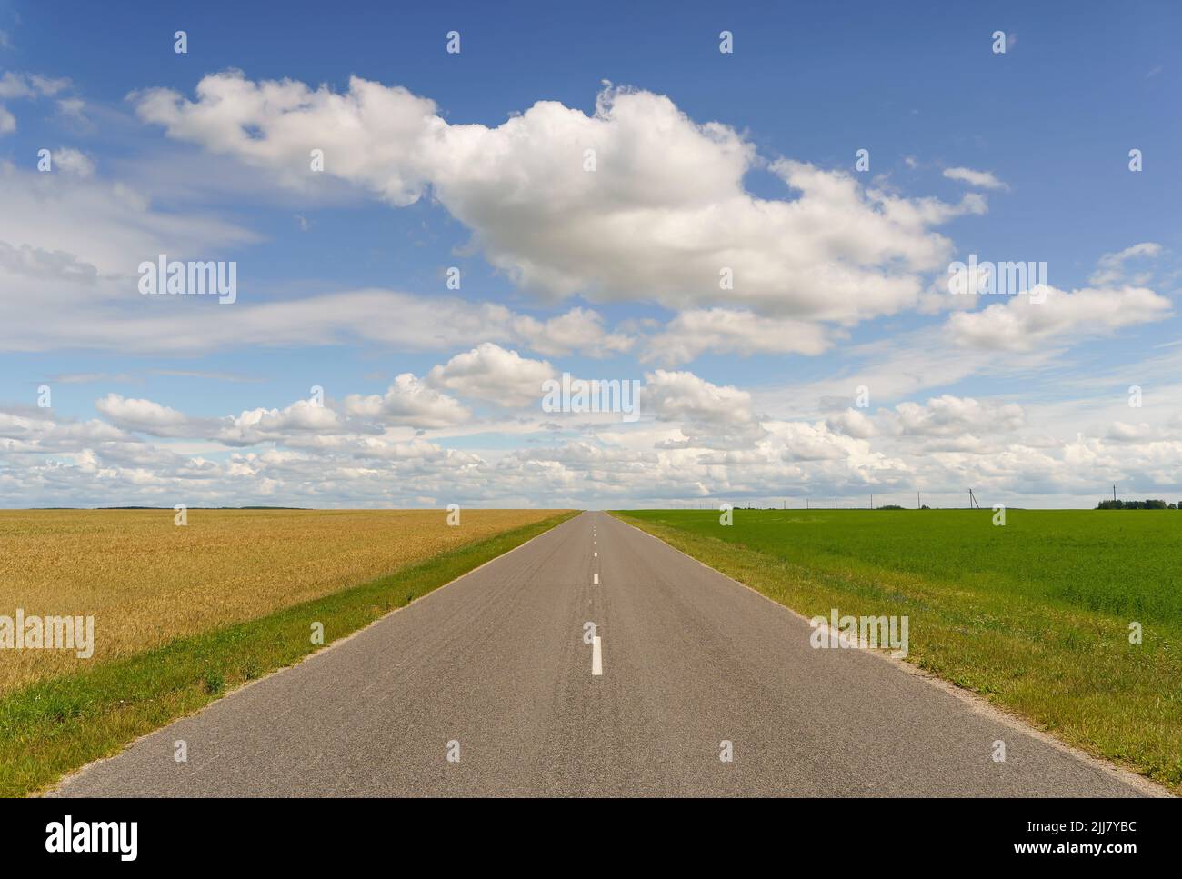 Country road in summer landscape of field, forest and sky. Rural ...