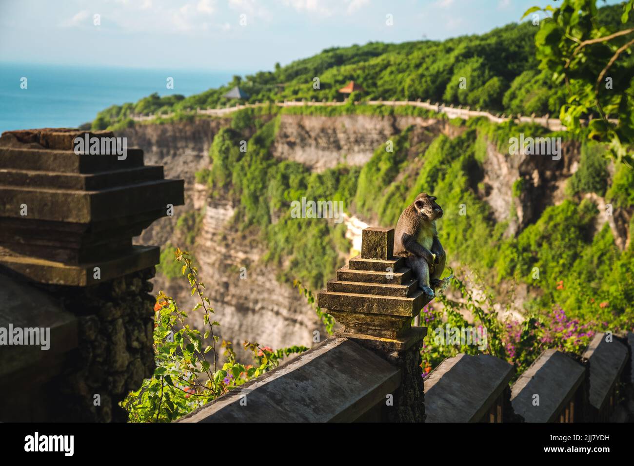 A cute monkey sitting on the concrete railings of the Uluwatu temple ...