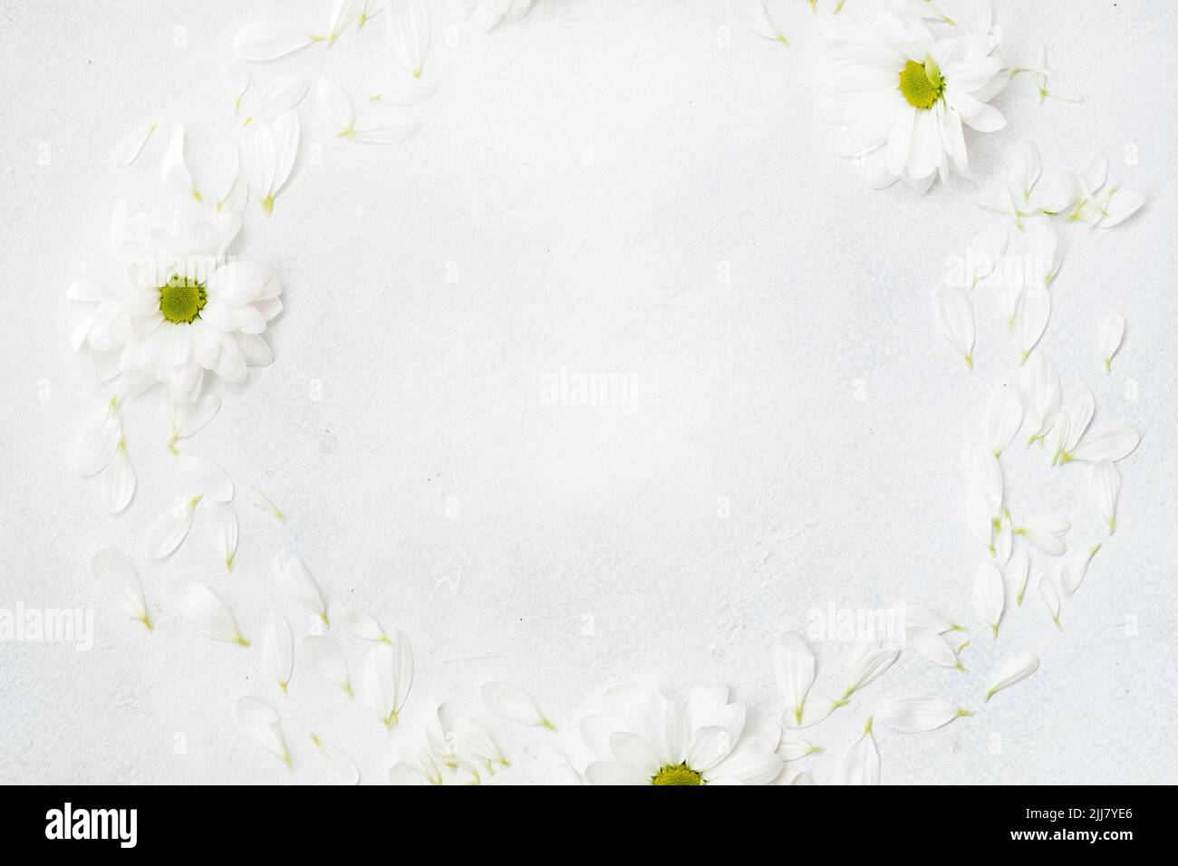 White circle flower hi-res stock photography and images - Alamy