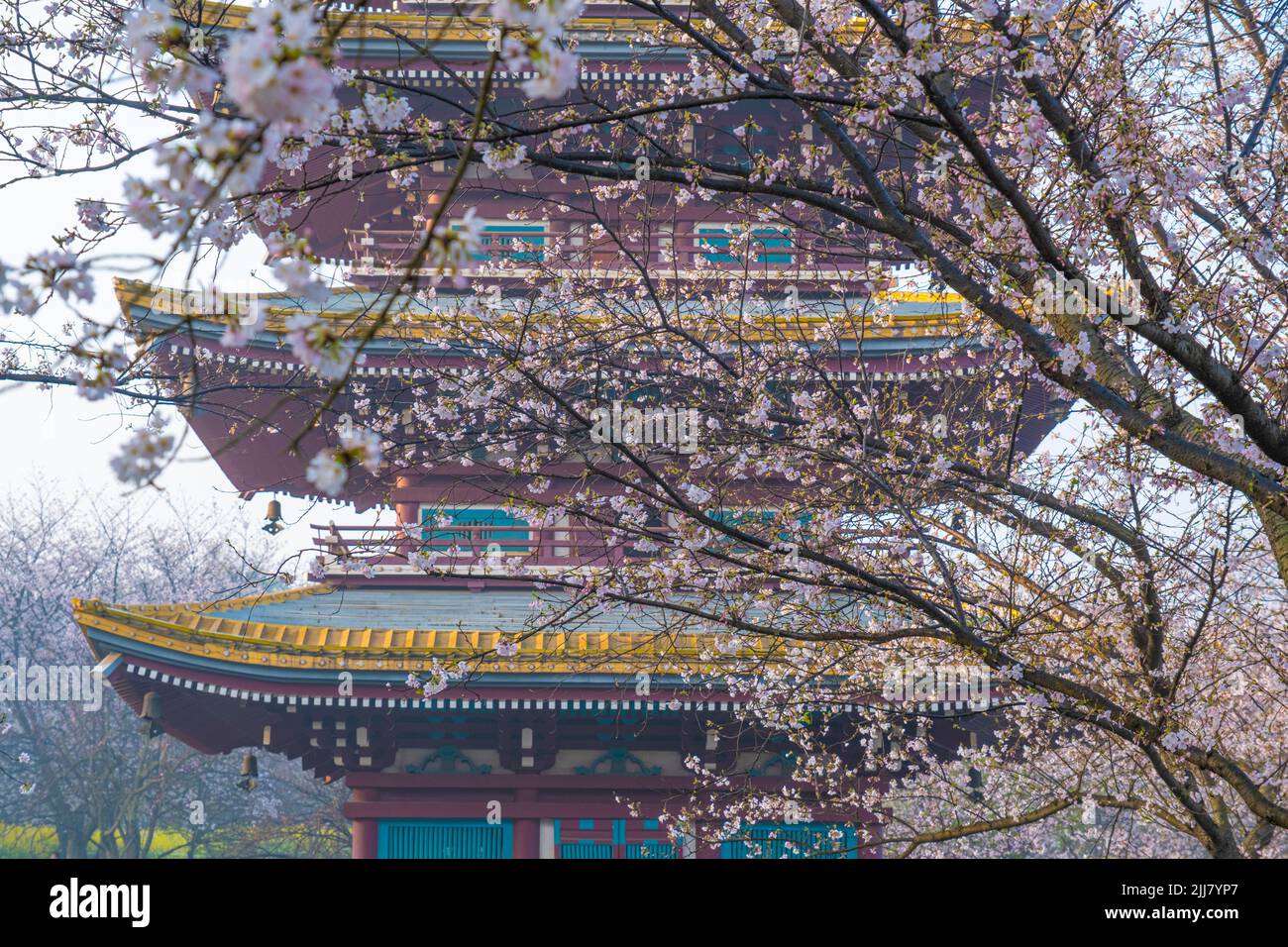 Five flowers lake china hi-res stock photography and images - Alamy