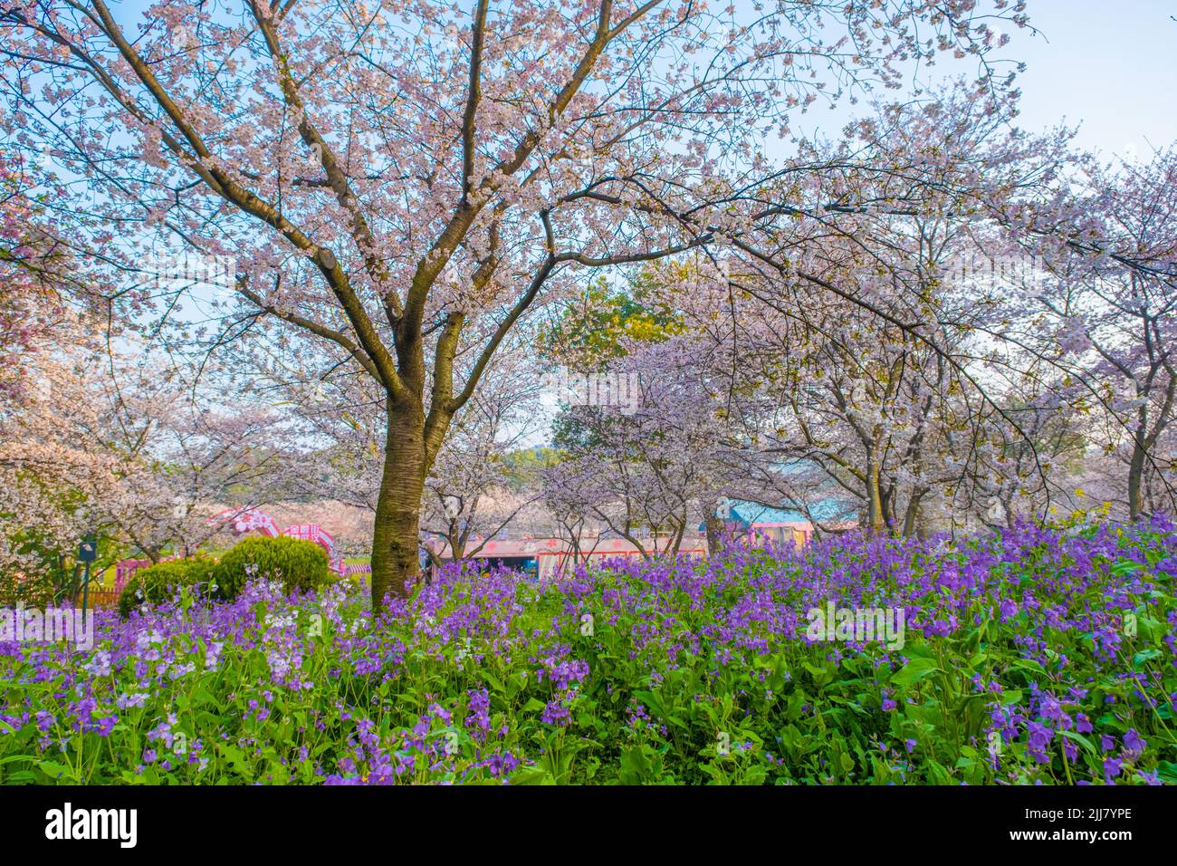 Five flowers lake china hi-res stock photography and images - Alamy