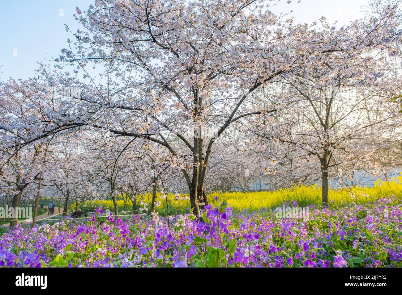 Five flowers lake china hi-res stock photography and images - Alamy
