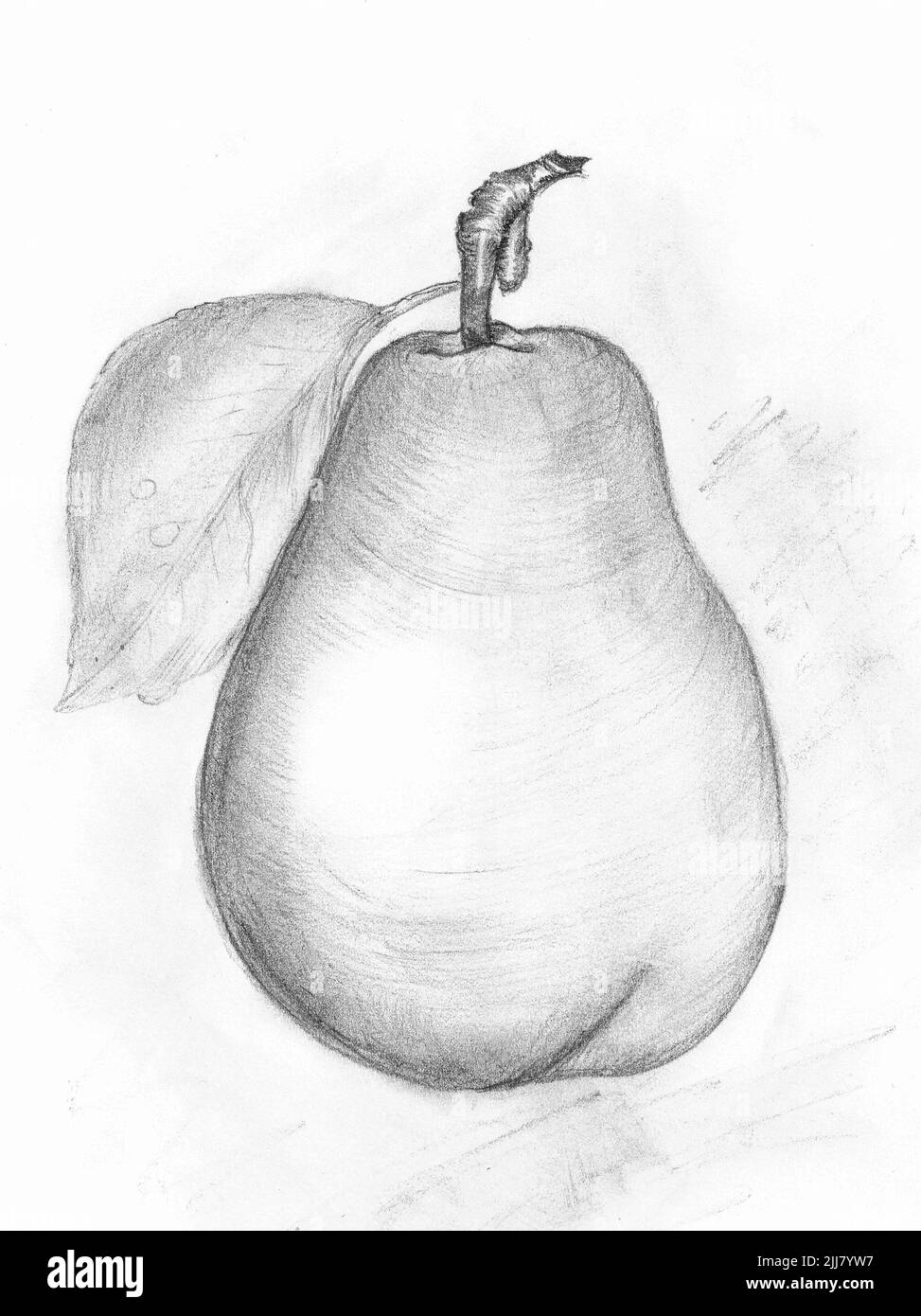 Pencil sketch ripe big pear. Isolated on white background illustration ...