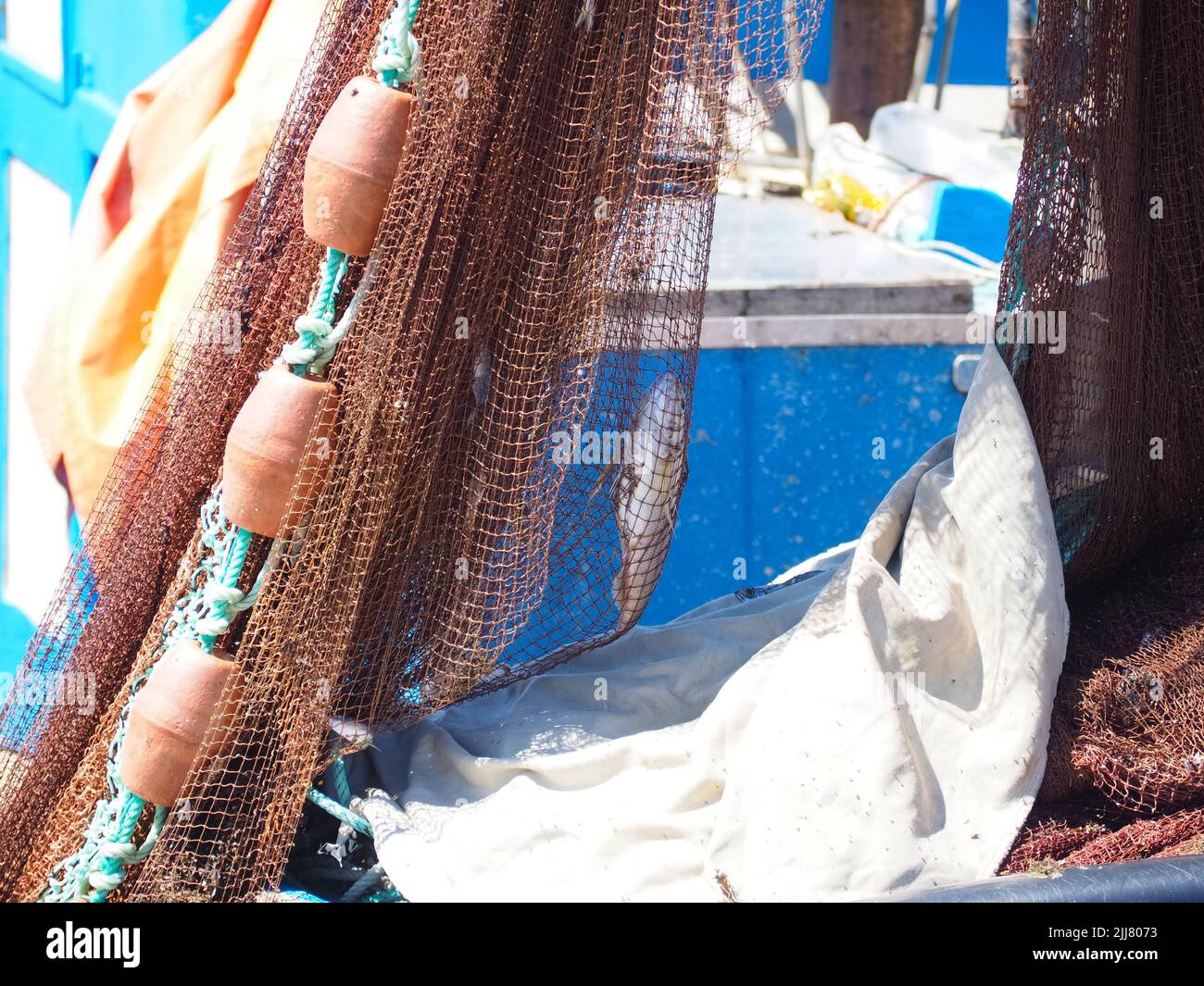 Caught fish in a fisher net Stock Photo - Alamy