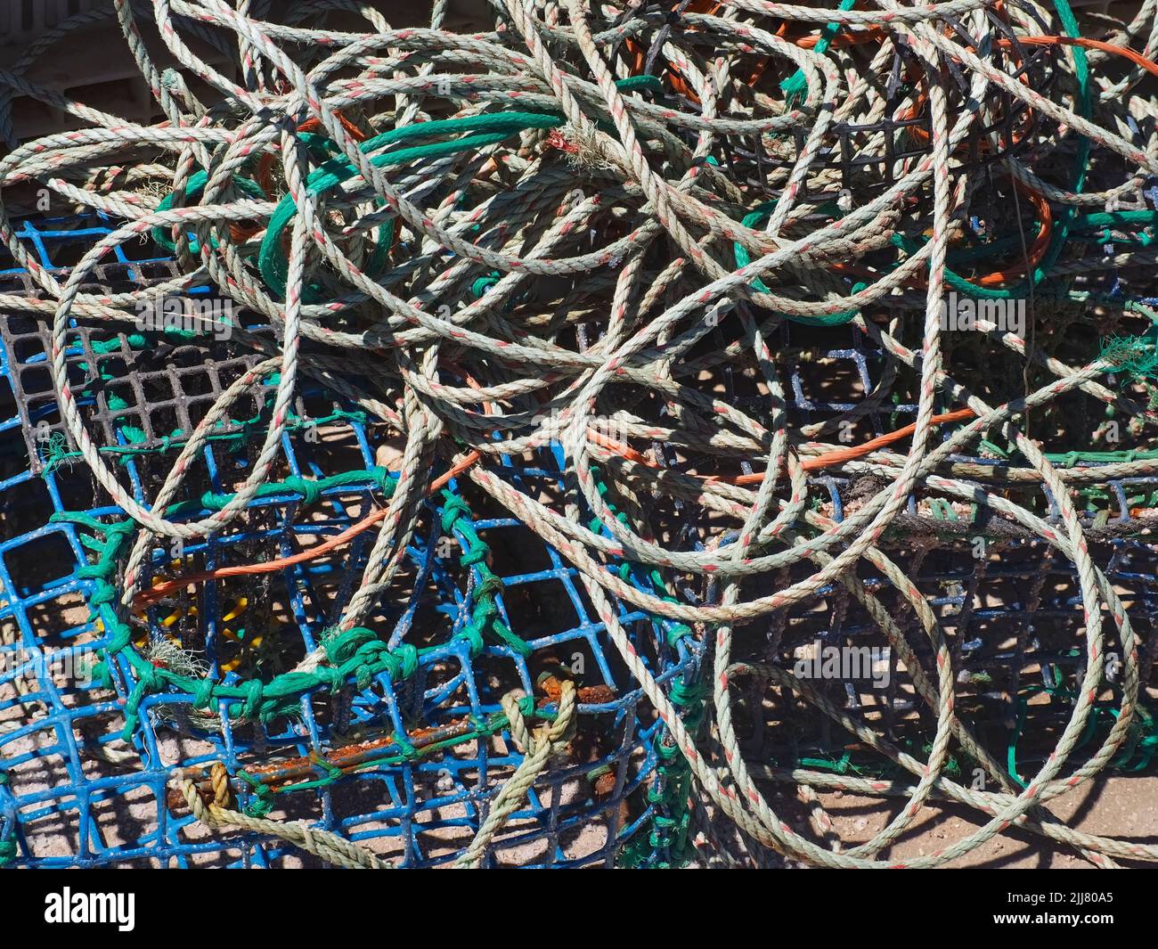 Fish bundle hi-res stock photography and images - Alamy