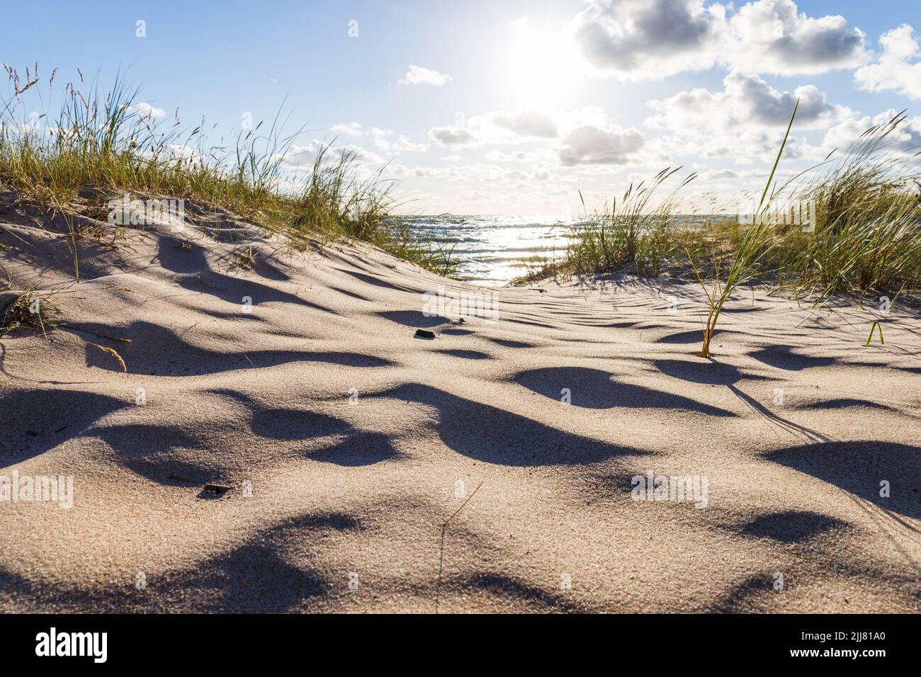 Baltic sea landscape with sandy beach and dunes with grass Stock Photo ...