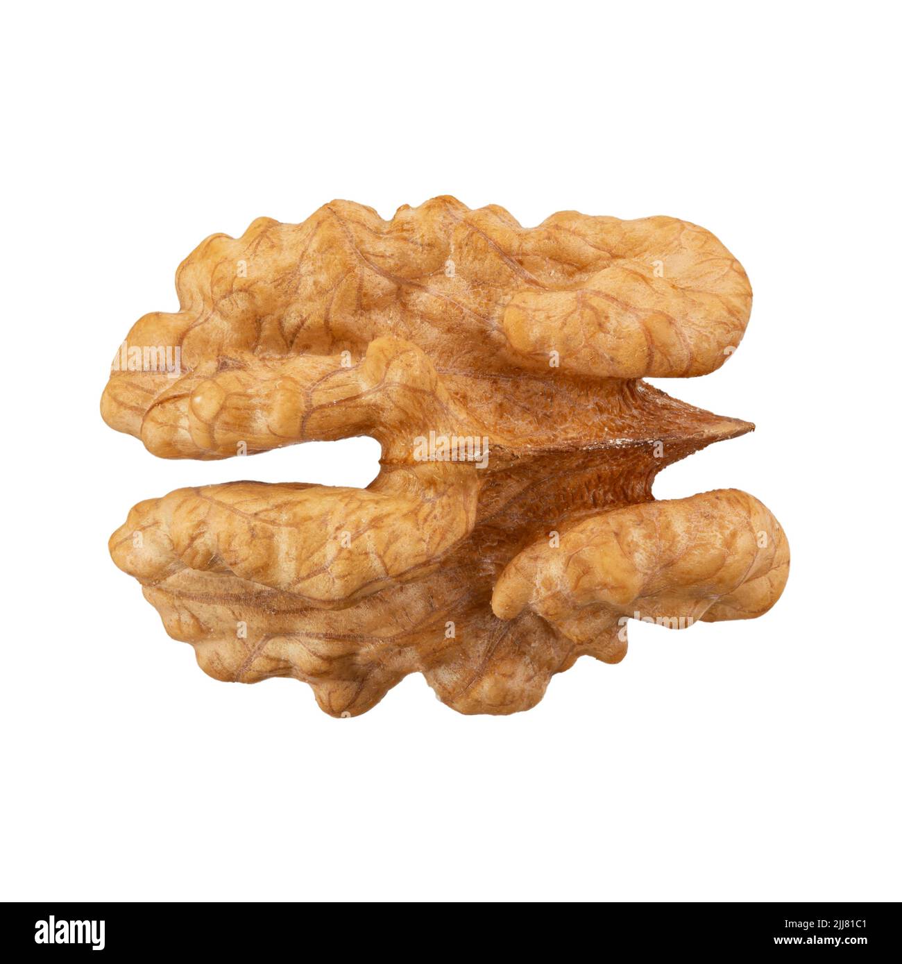 Peeled walnut on isolated with white background. File contains clipping ...
