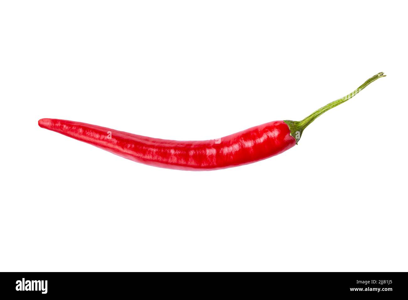 Single chili pepper isolated on white background. Chili hot pepper ...