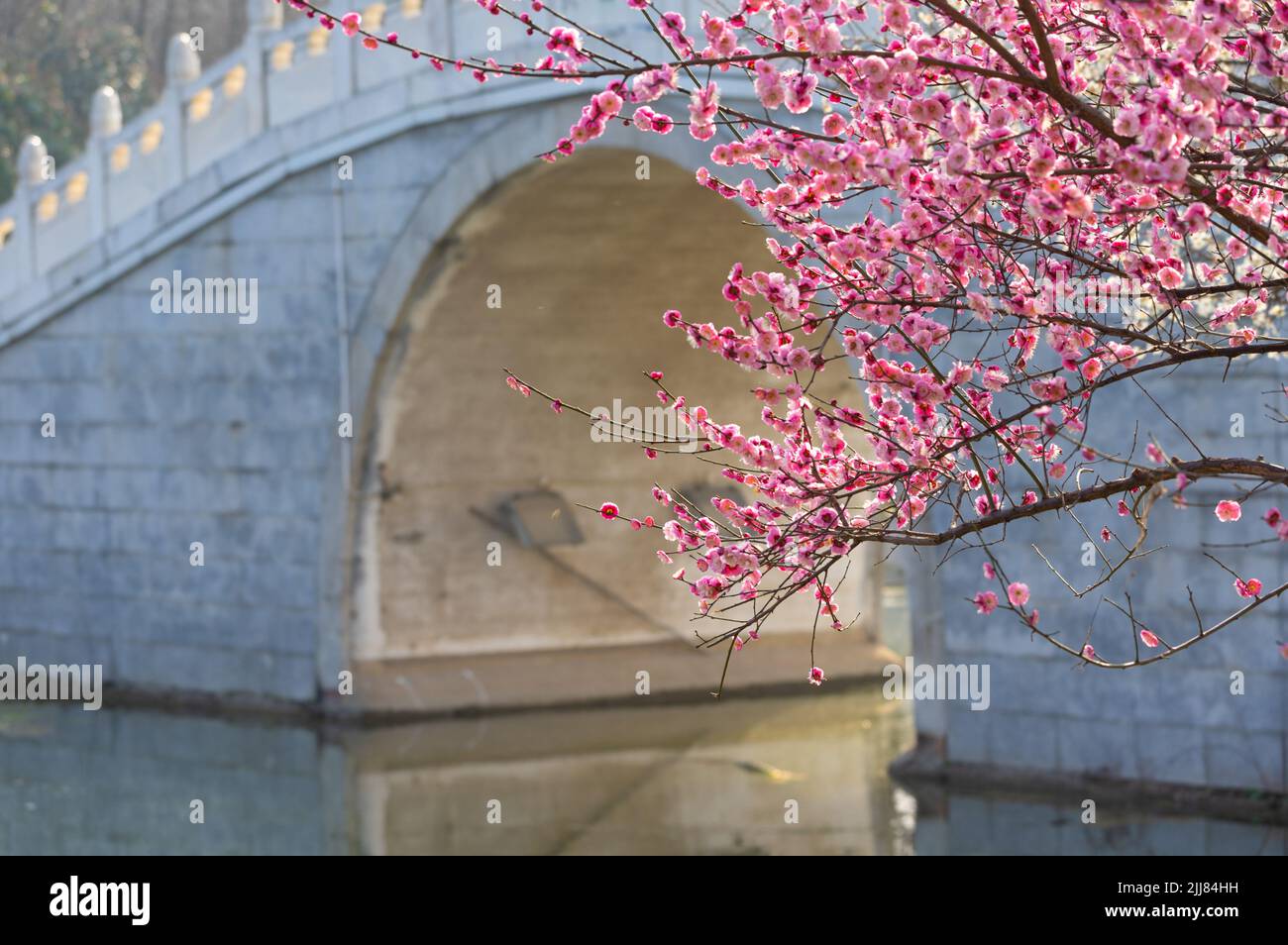 Spring scenery of Yuehu Park in Hanyang, Wuhan, Hubei, China Stock ...