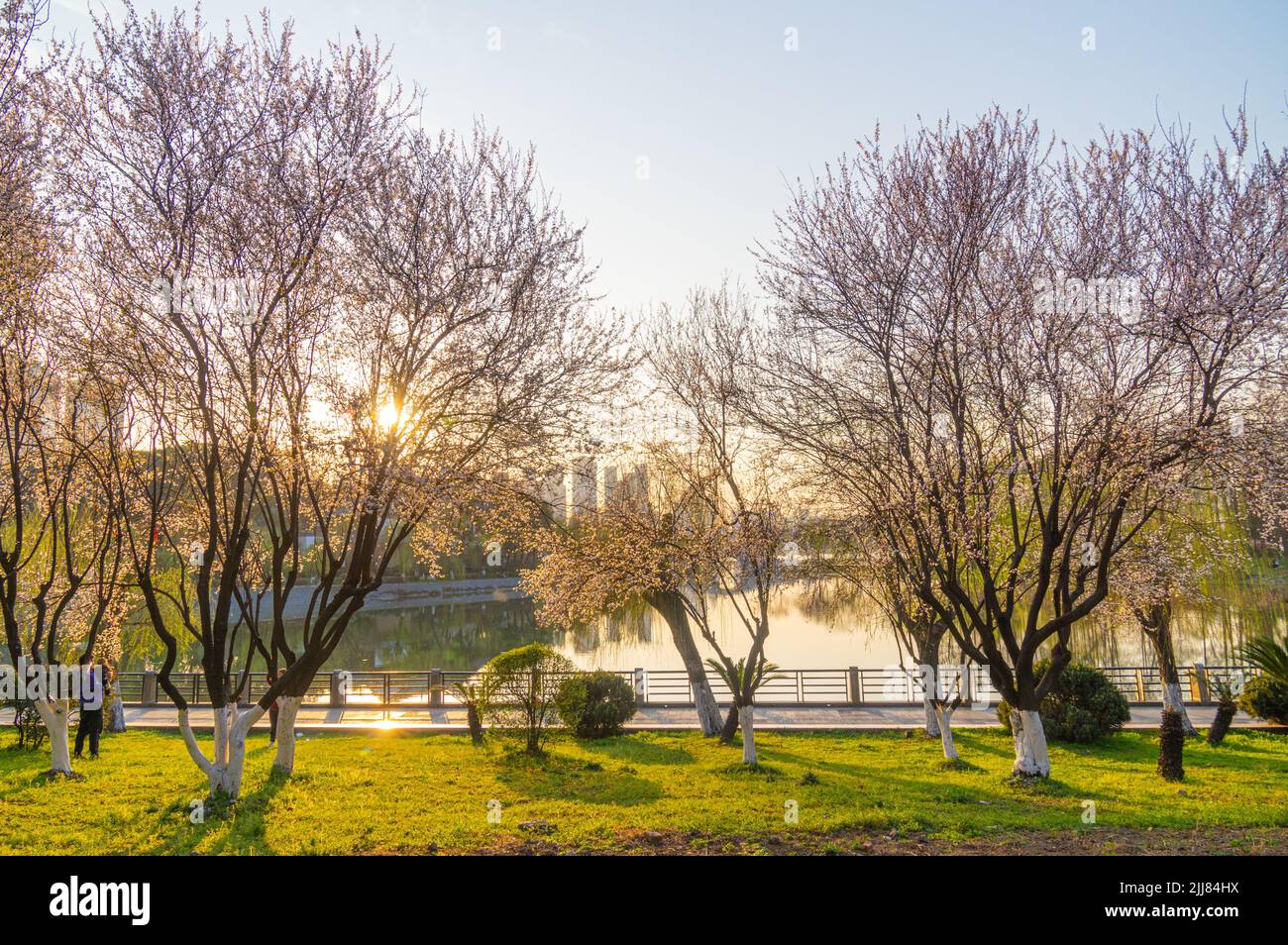 Spring scenery of Yuehu Park in Hanyang, Wuhan, Hubei, China Stock ...