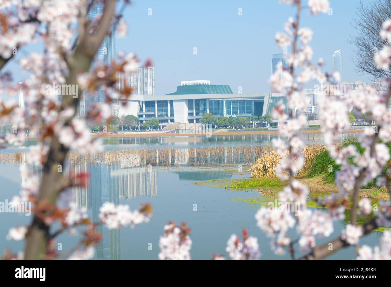 Spring scenery of Yuehu Park in Hanyang, Wuhan, Hubei, China Stock ...