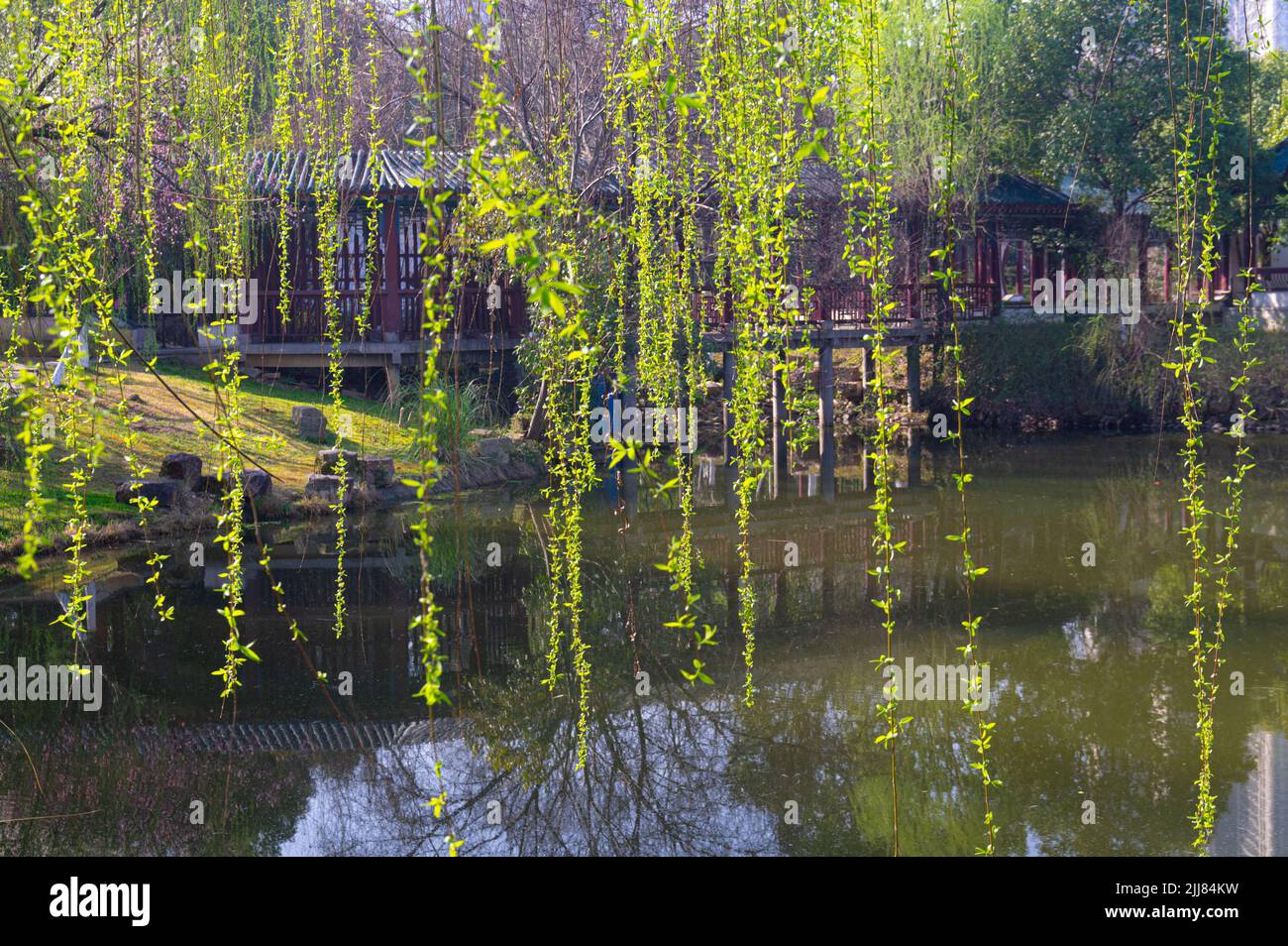 Spring scenery of Yuehu Park in Hanyang, Wuhan, Hubei, China Stock ...