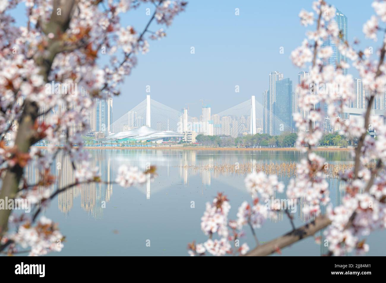 Spring scenery of Yuehu Park in Hanyang, Wuhan, Hubei, China Stock ...