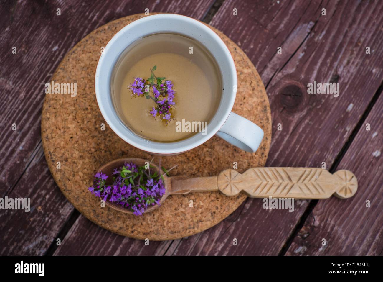 Wild thyme tea. Cup of fresh herbal tea with thymus serpyllum Stock ...