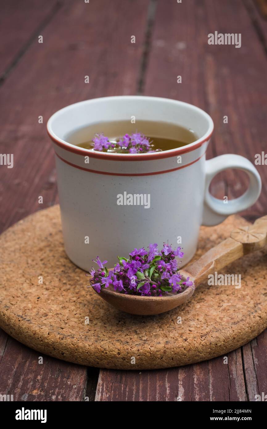 Thymus serpyllum hi-res stock photography and images - Alamy