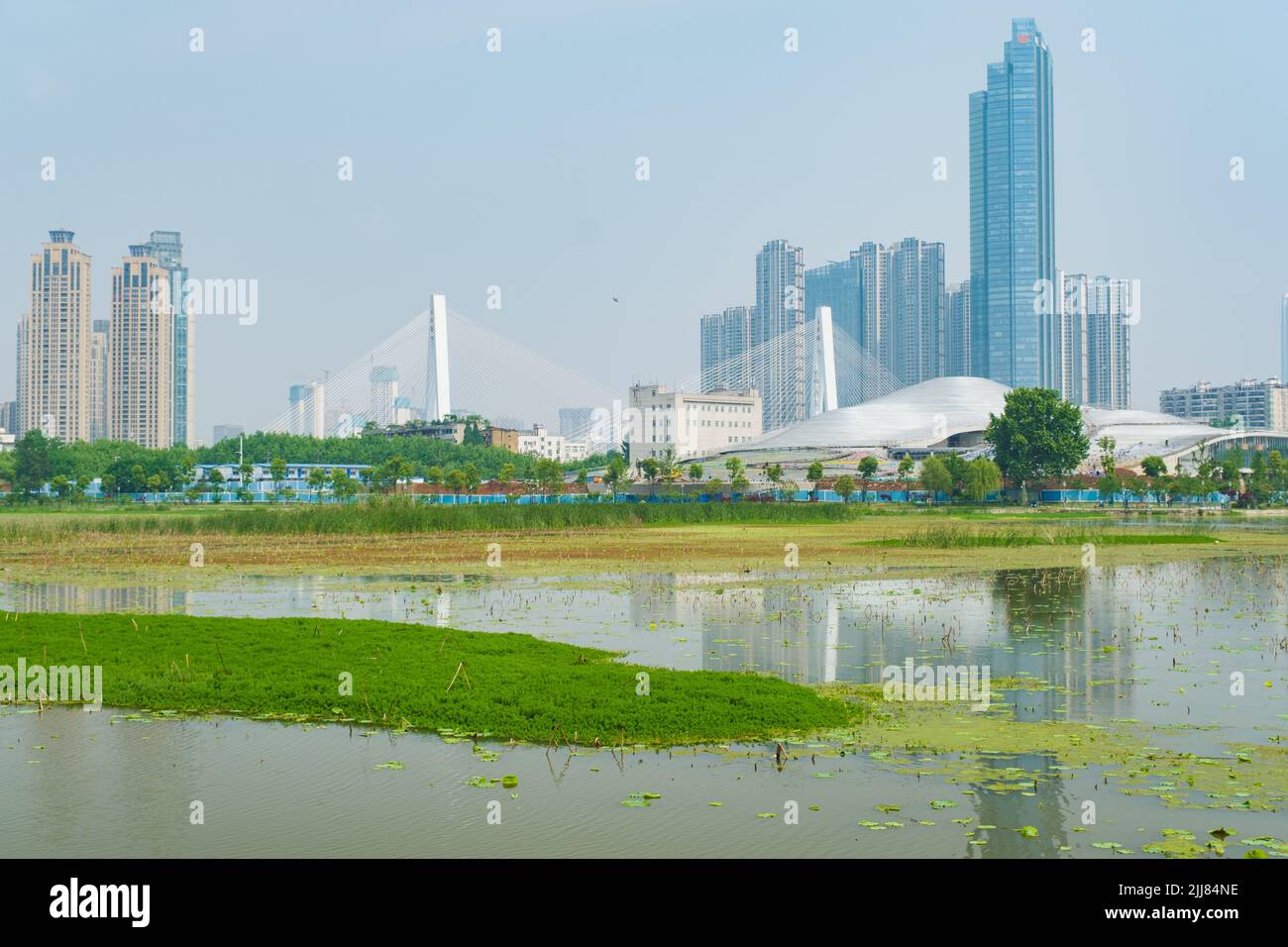 Spring scenery of Yuehu Park in Hanyang, Wuhan, Hubei, China Stock ...