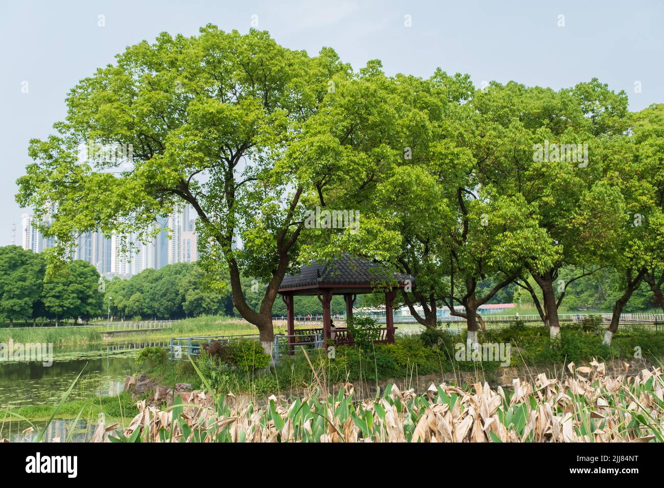 Spring scenery of Yuehu Park in Hanyang, Wuhan, Hubei, China Stock ...