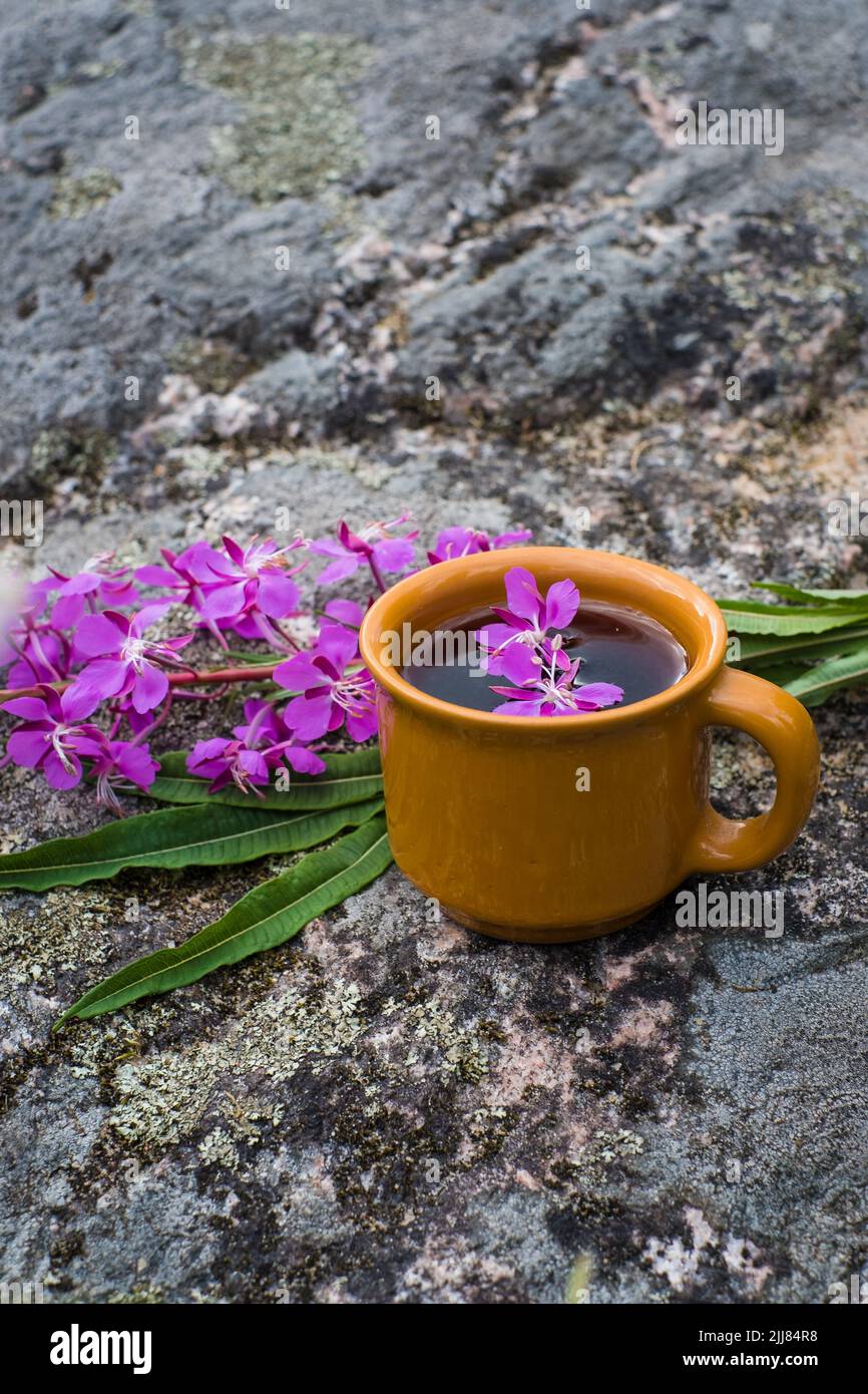Kopor tea hi-res stock photography and images - Alamy