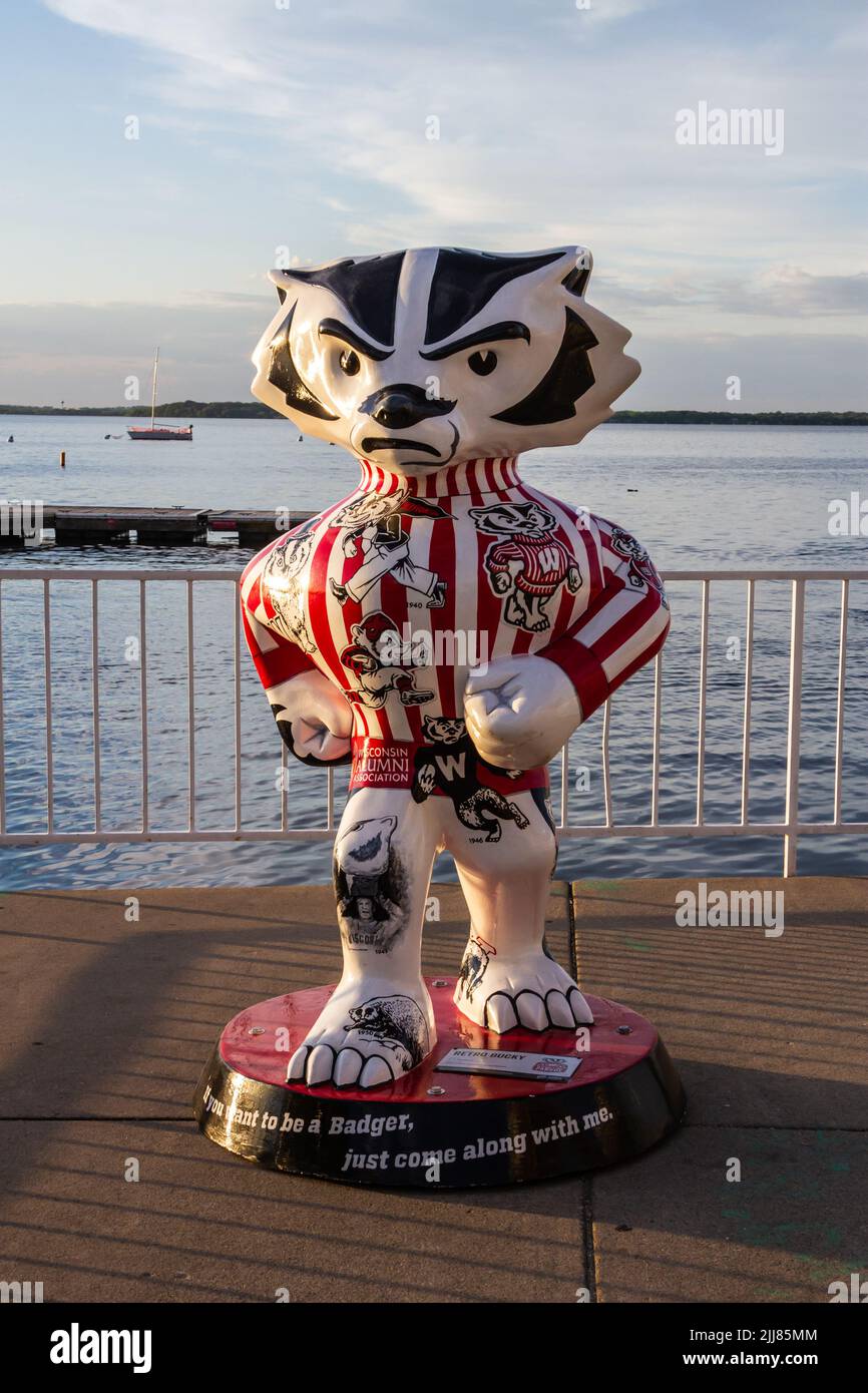 Madison, WI, USA May 16 2022: Bucky Badger Alumni statue at the ...