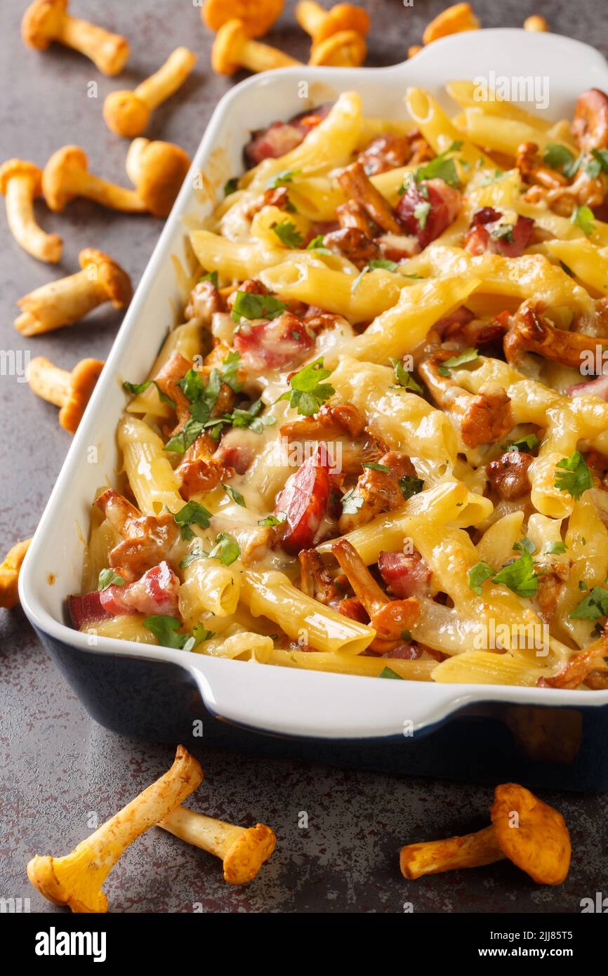Penne pasta casserole with chanterelle mushrooms, meat and cheese close ... Penne pasta casserole with chanterelle mushrooms, meat and cheese close ...