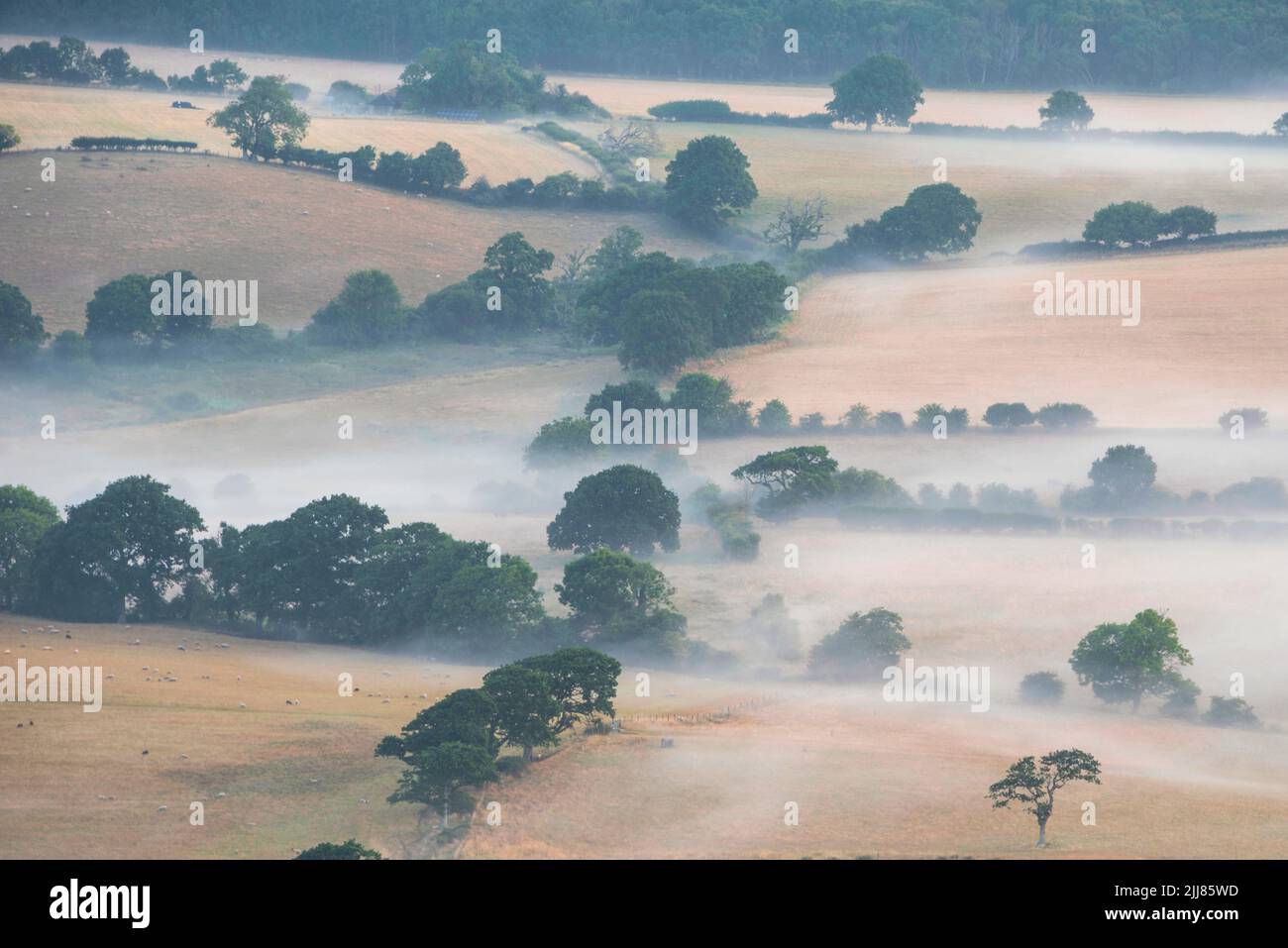 Stunning landscape image of layers of mist rolling over South Downs ...