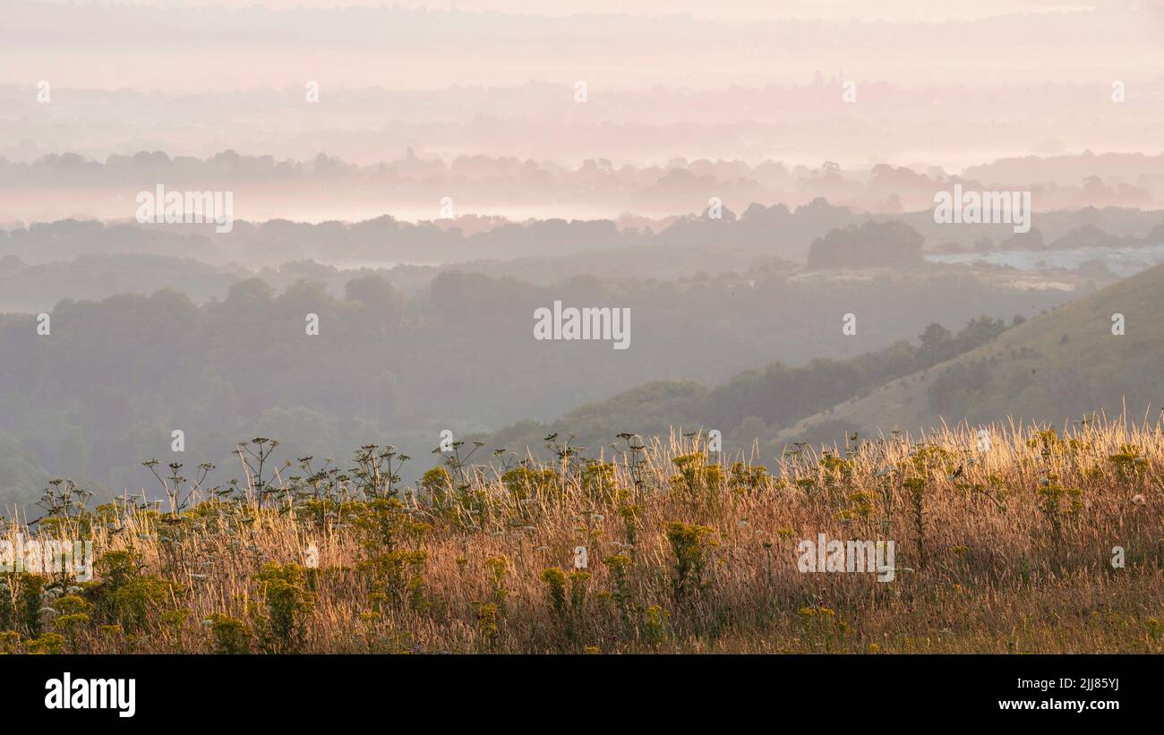Stunning landscape image of layers of mist rolling over South Downs ...
