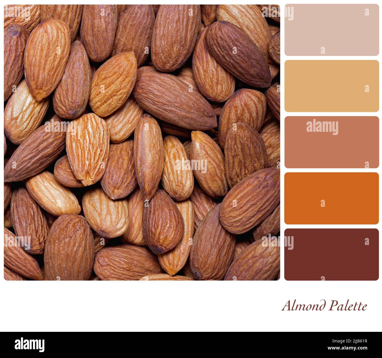 A background of almonds palette with complimentary colour swatches ...