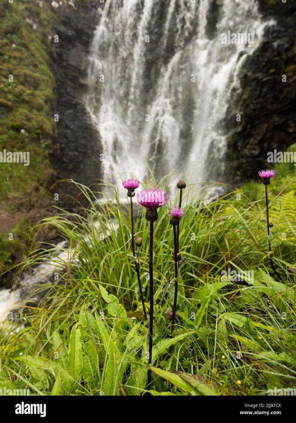 Clashnessie falls hi-res stock photography and images - Alamy