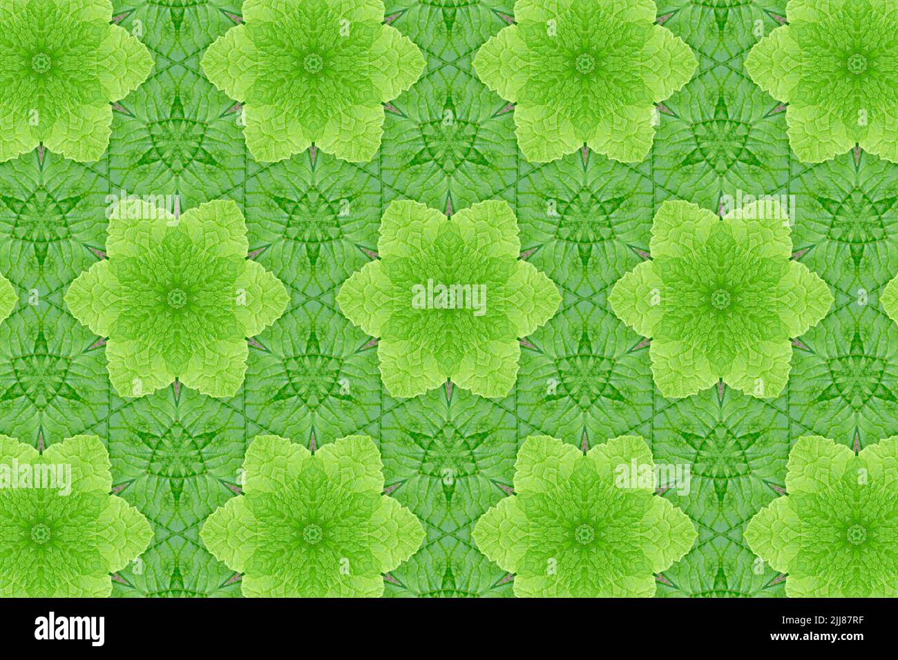 green abstract textured background, symetric shapes Stock Photo - Alamy