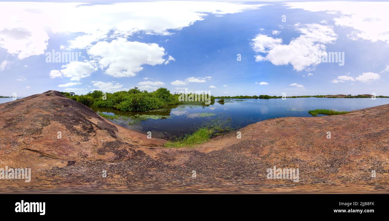 Swamp in middle of rainforest, water stagnation because outside the ...