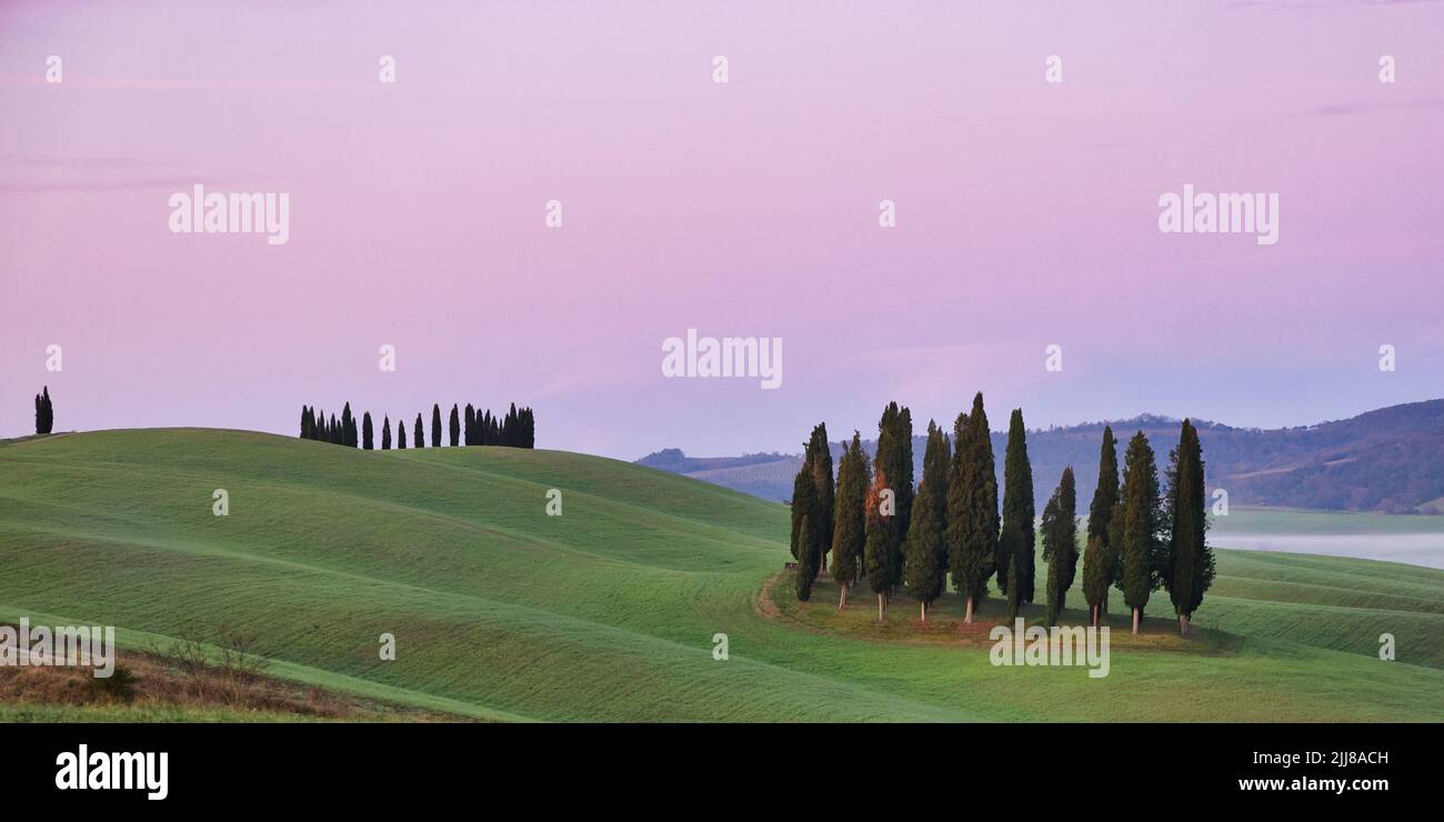 Group of famous cypresses in green valley near San Quirico d'Orcia ...