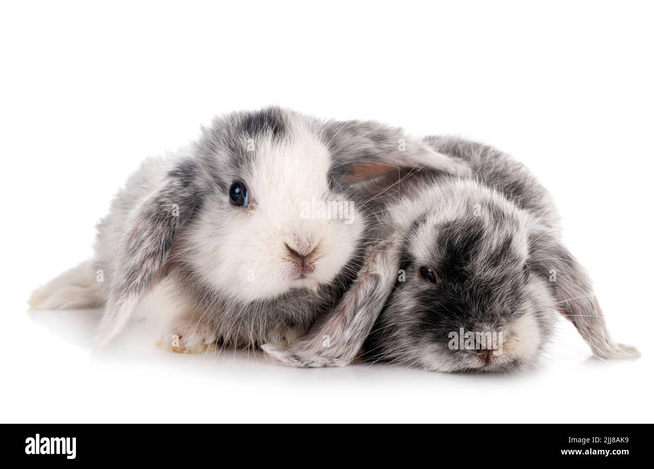 Couple in front mini hi-res stock photography and images - Alamy