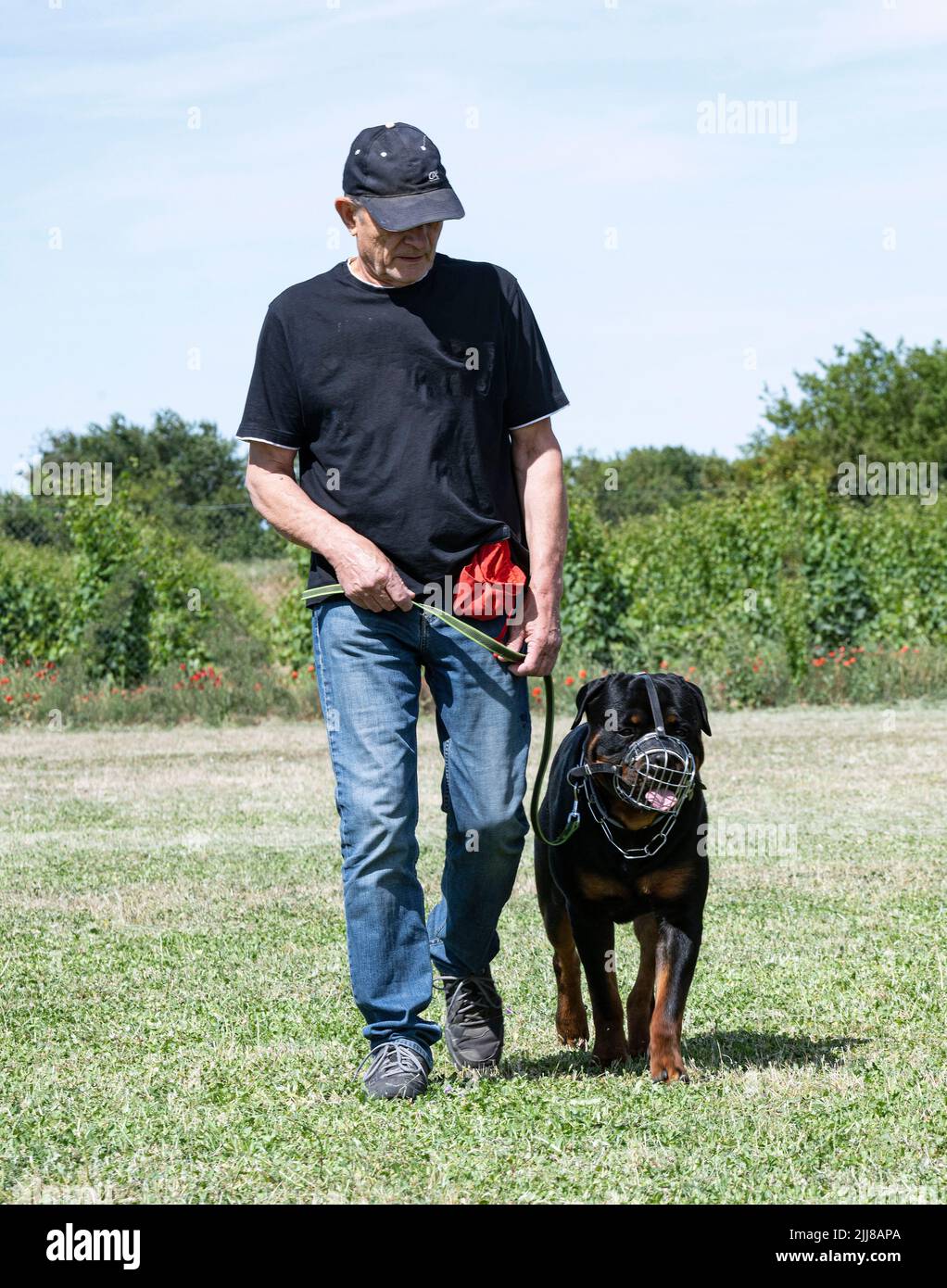 Man rottweiler hi-res stock photography and images - Alamy