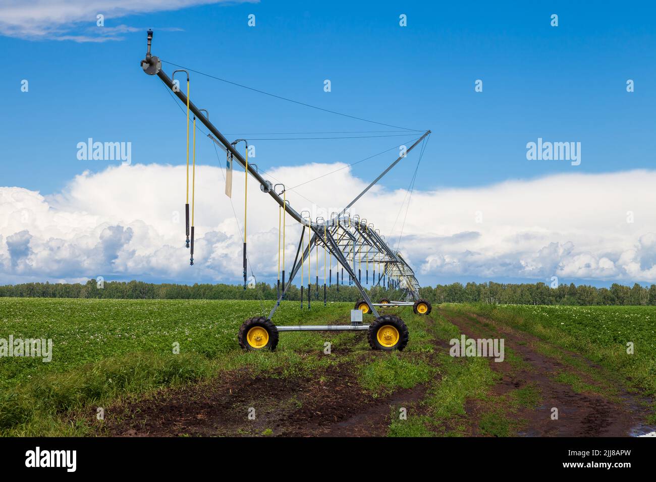 Corn field in spring with automatic irrigation system for water supply ...