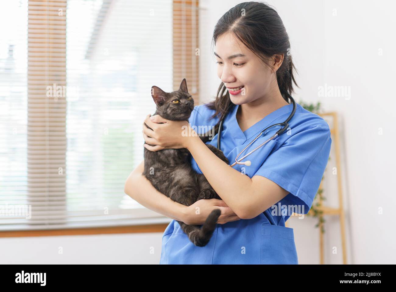 Pet care concept, Female veterinary playing and hugging cute cat after ...