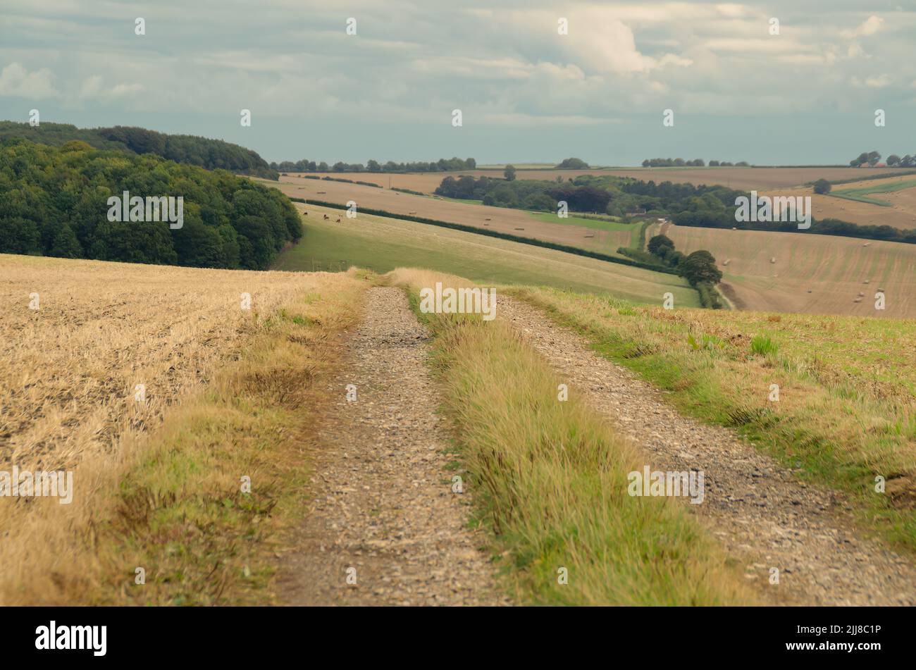 Bridleway byway footpath hi-res stock photography and images - Alamy