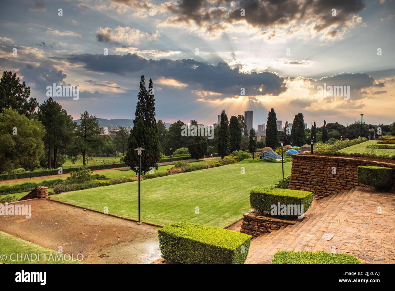 A scenic view of green trees and shrubs in a park at a beautiful cloudy ...