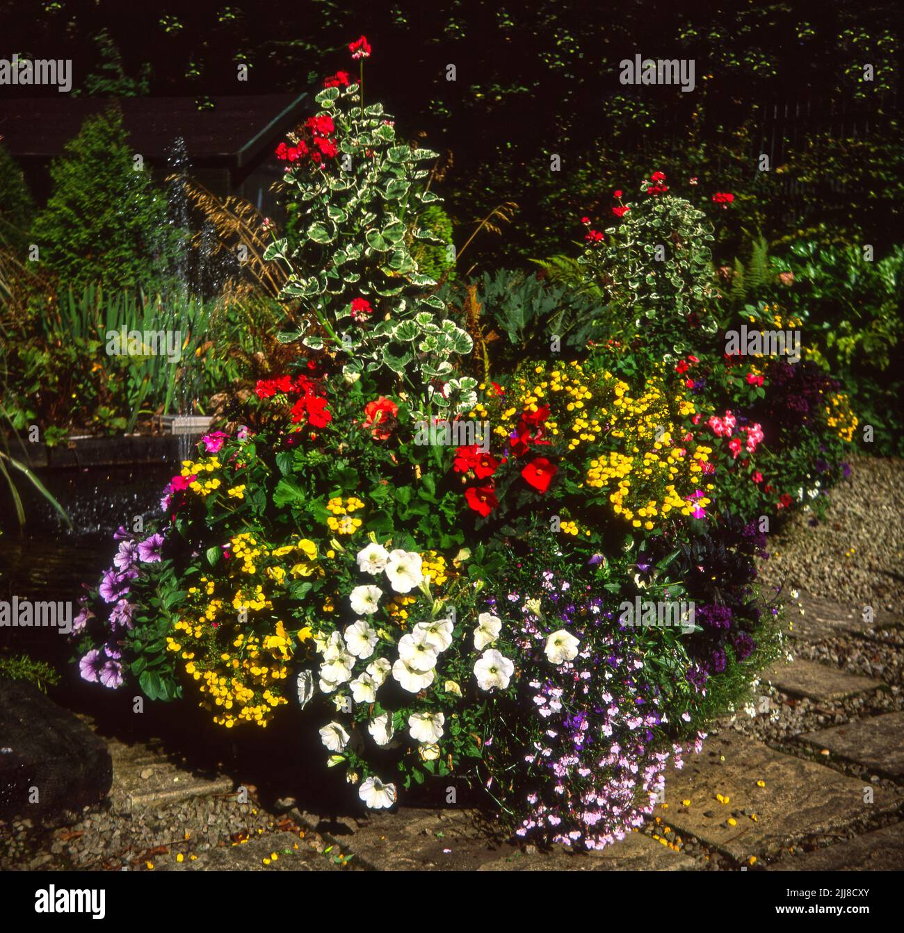 A floral display of colourful summer flowering plants in a container ...
