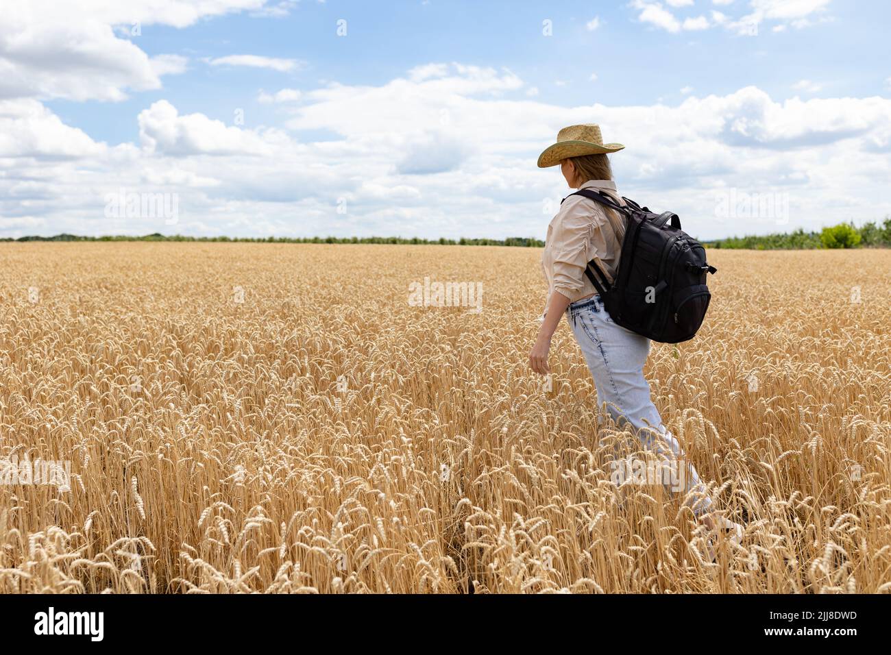 Back view of female agronomy with travel backpack walking at path in ...