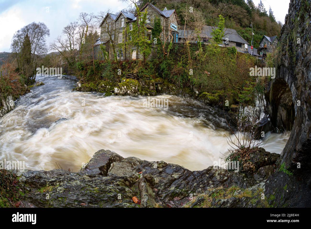 Landscape view of Afon Llugwy in flood, Betws-y-Coed, Clywd, Wales, UK ...