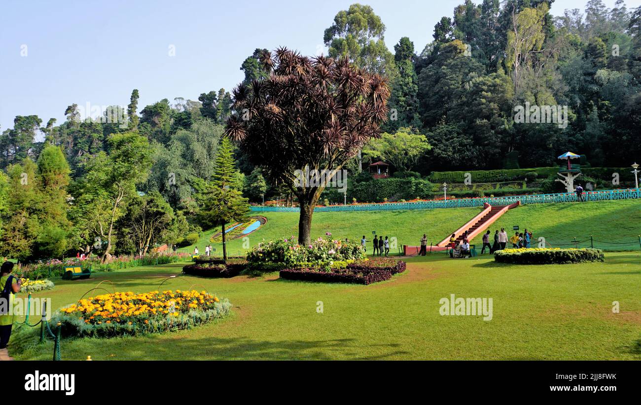 Ooty,Tamilnadu,India-April 30 2022: Beautiful Government botanical ...