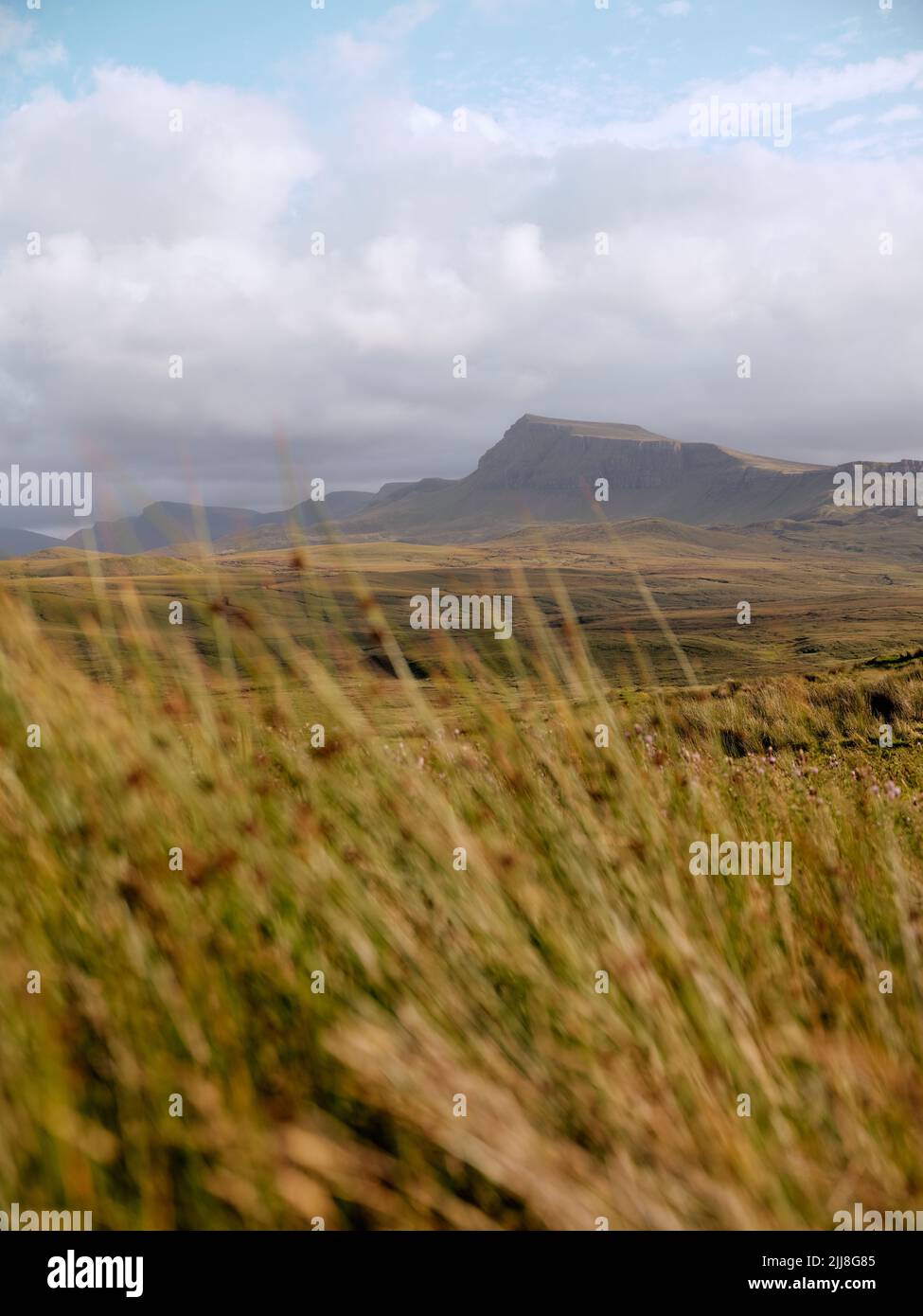 The summer grassland landscape of the The Trotternish Ridge on the Isle ...