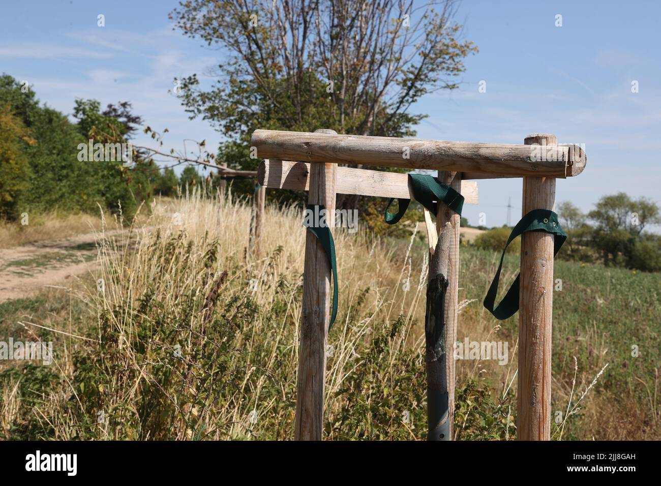 Weimar, Germany. 24th July, 2022. Several trees commemorating victims ...