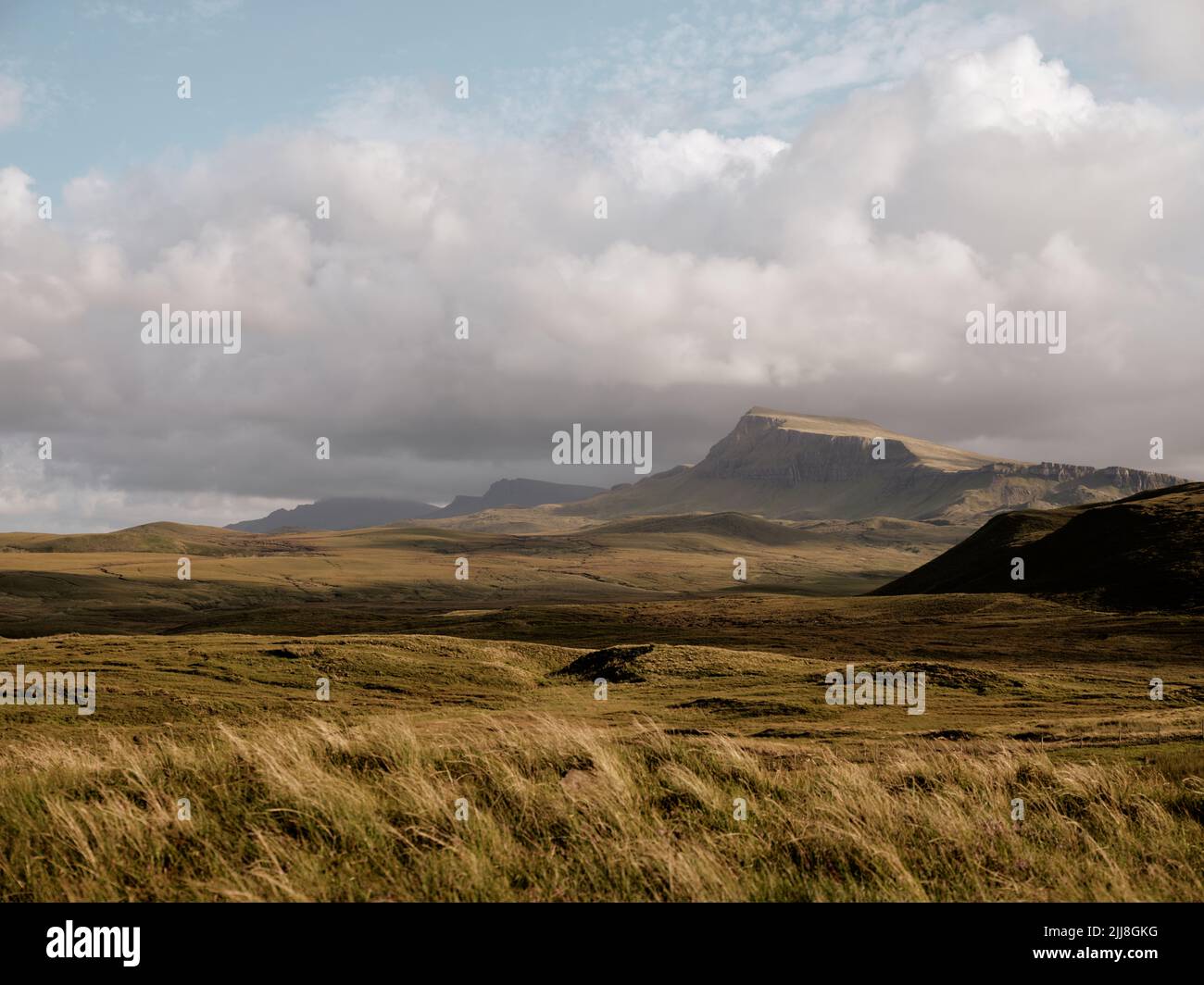 The summer grassland landscape of the The Trotternish Ridge on the Isle ...