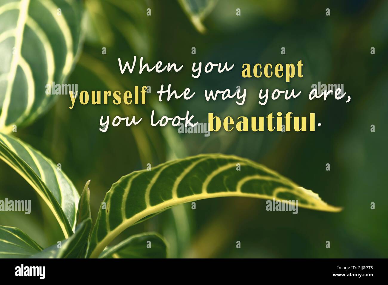 Quotes About Being Beautiful The Way You Are