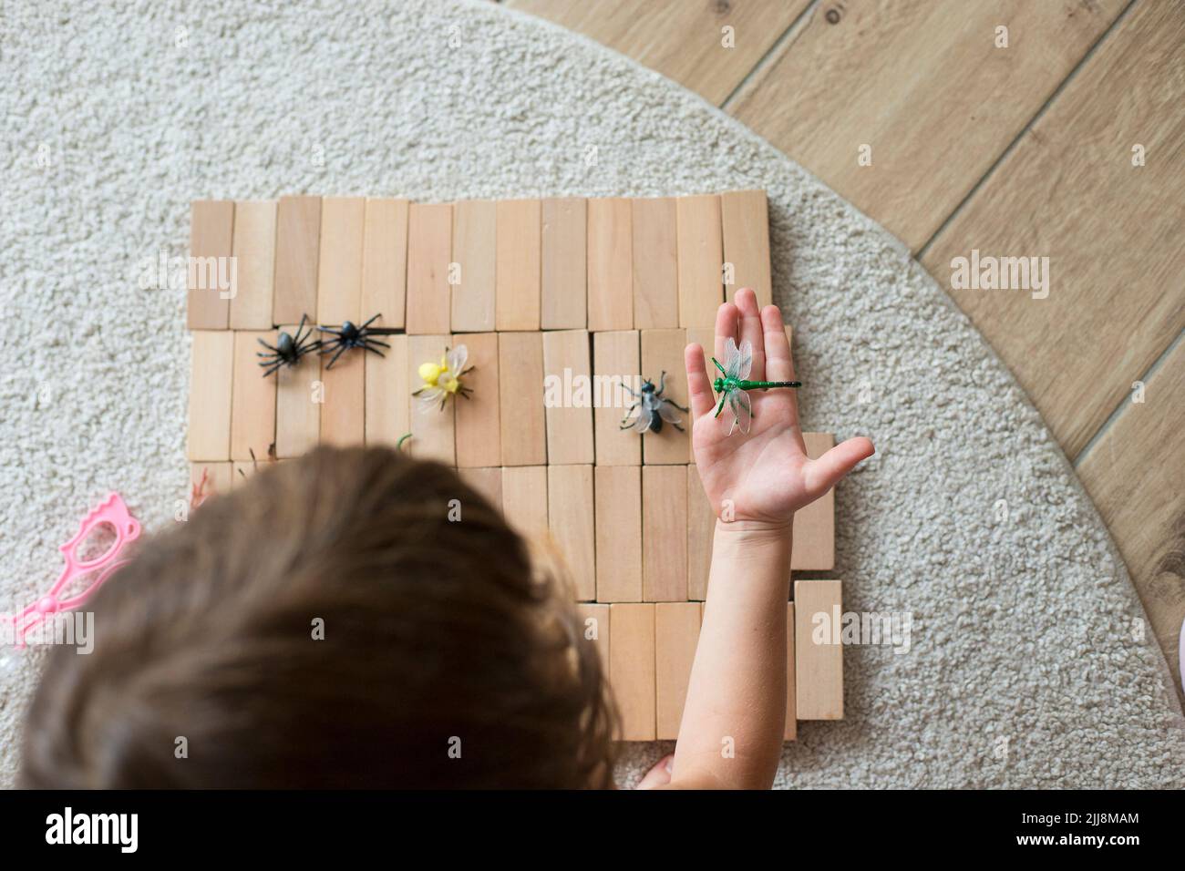 Caucasian child girl, 5 yers old, playing with wooden blocks and toy ...