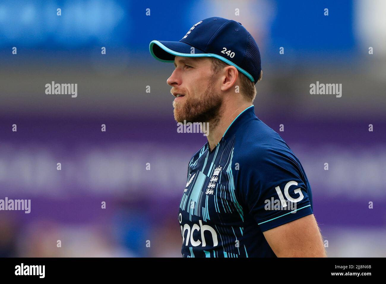 David willey hi-res stock photography and images - Alamy